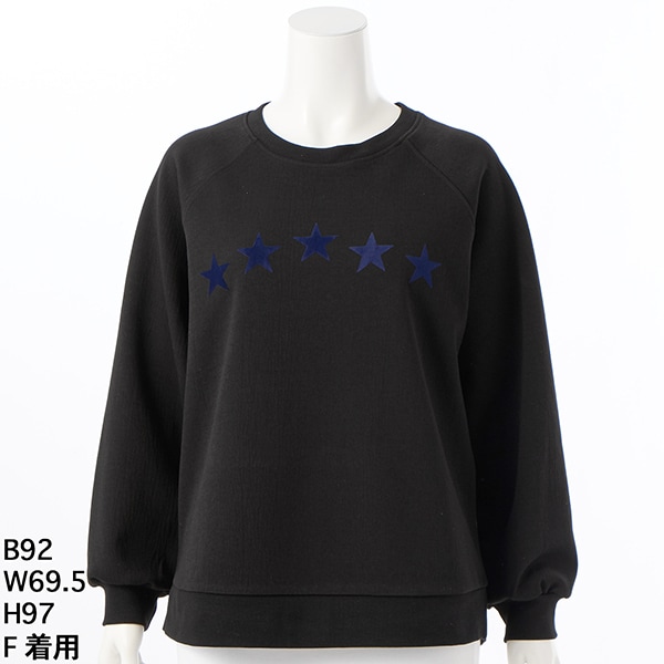 アルディラ(AL DI LA) レディース Tシャツ・カットソー の一覧