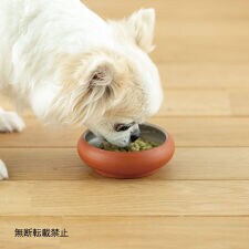 OPPO TokoBowl for Food Sサイズ 犬用食器 | オッポ(OPPO) | マルイウェブチャネル